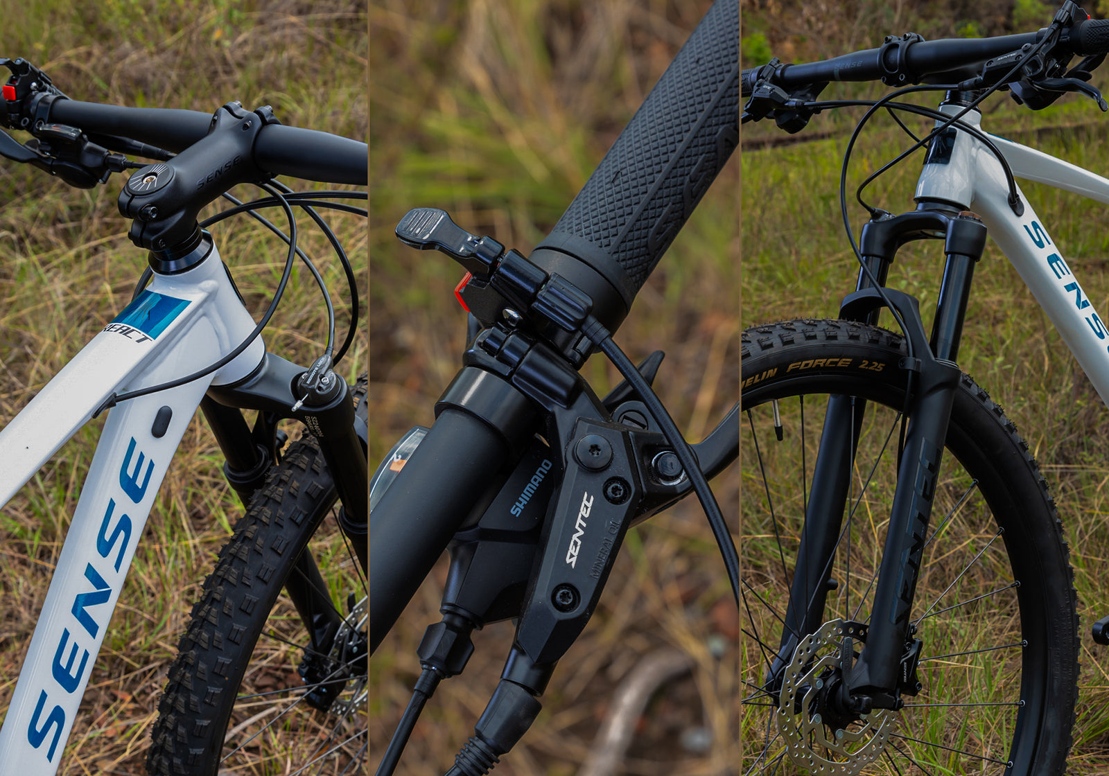 reacts – Sense Bike